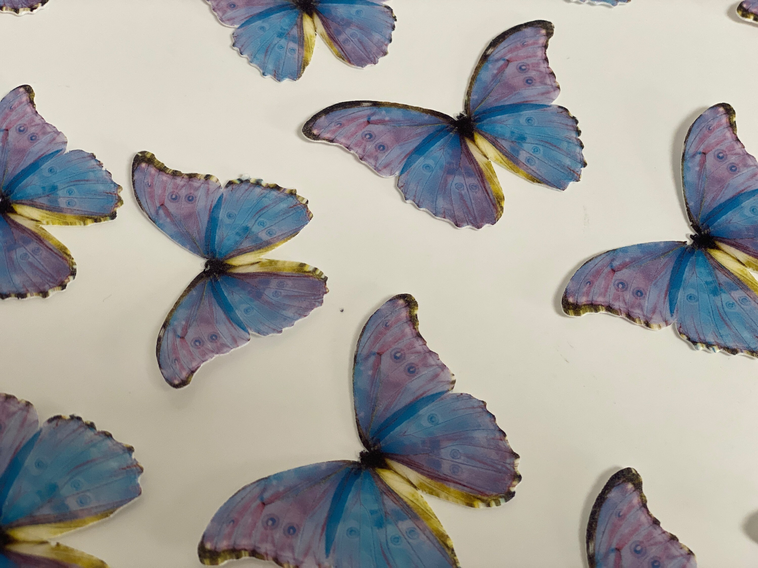 Pre-cut Edible Wafer Butterflies in Purple 12/18/24 - Etsy