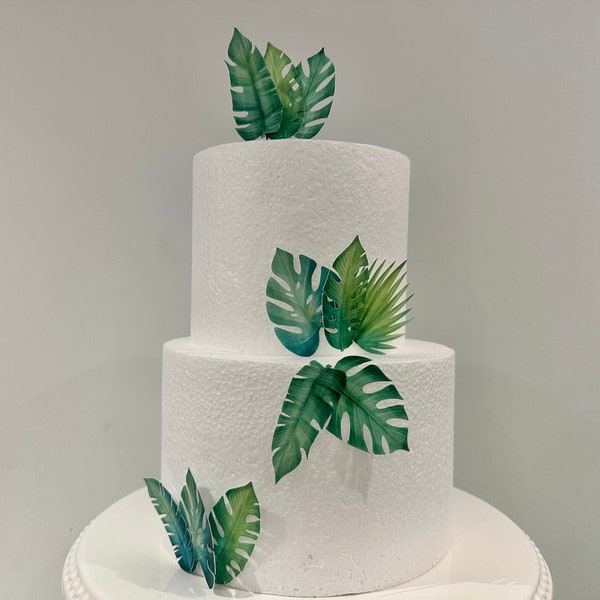 Monstera Leaf Cake - Etsy