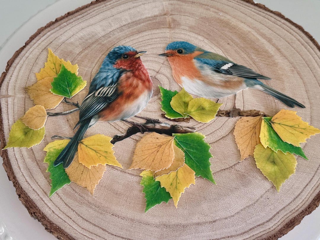 Robin Birds Edible Wafer Cake Toppers: Autumn Leaves, Weddings ...