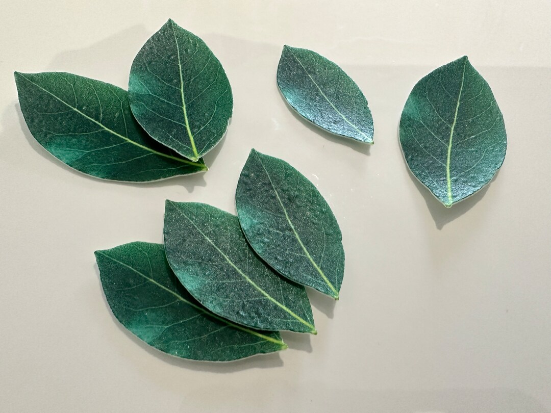 Edible Leaves - Precut Wafer Topper - Cake / Cupcake Decorations - LF03 ...