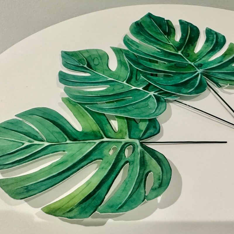 Monstera Leaf Cake - Etsy