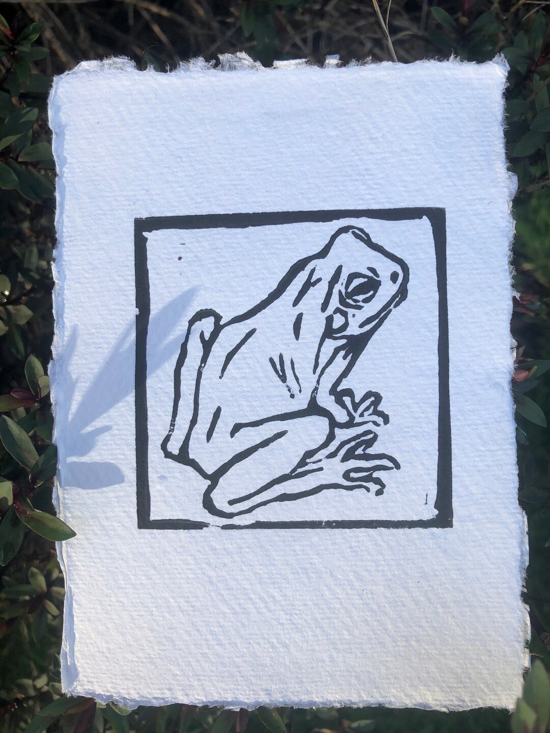 Frog Lino Print on A6 Recycled Paper - Etsy