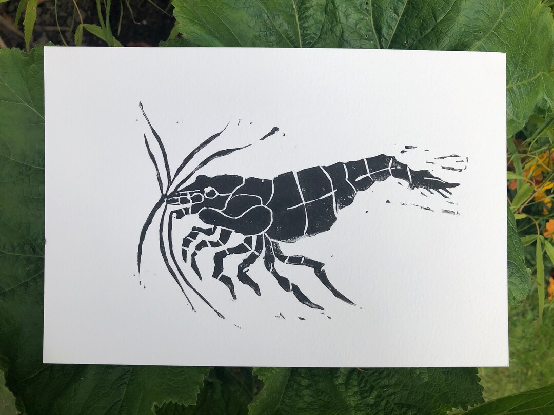 Shrimp Lino Print on A5 - Etsy