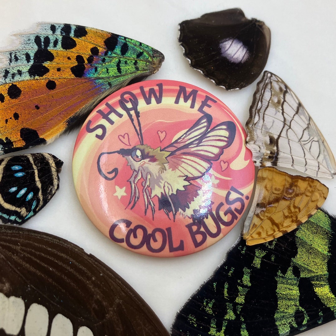 Show Me Cool Bugs Pin Button Badge for Insect Lovers - Etsy