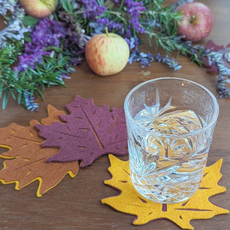 Felt Coasters - Etsy