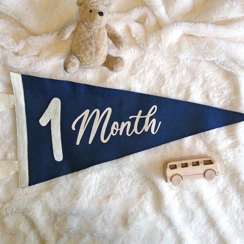 Baby Boy Milestone Kit - Etsy