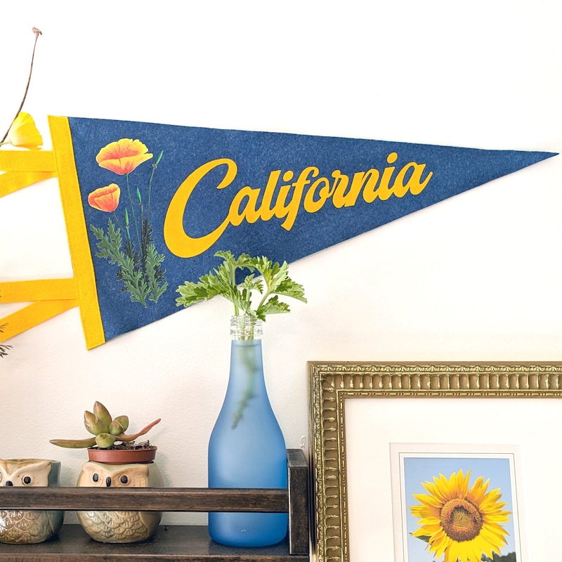 California Pennant - Etsy