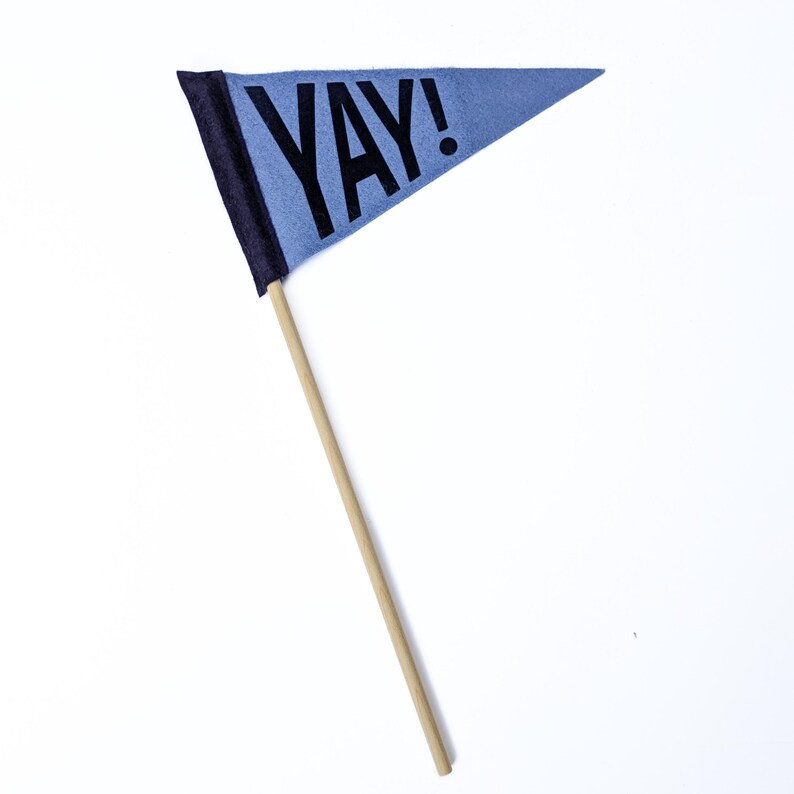 Yay Mini Pennant Blue Emotions Pennant: Express Sadness, Happiness, Joy ...