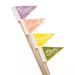 CUSTOM Tiny Pennant | Miniature Personalized Felt Flag on a Stick ...