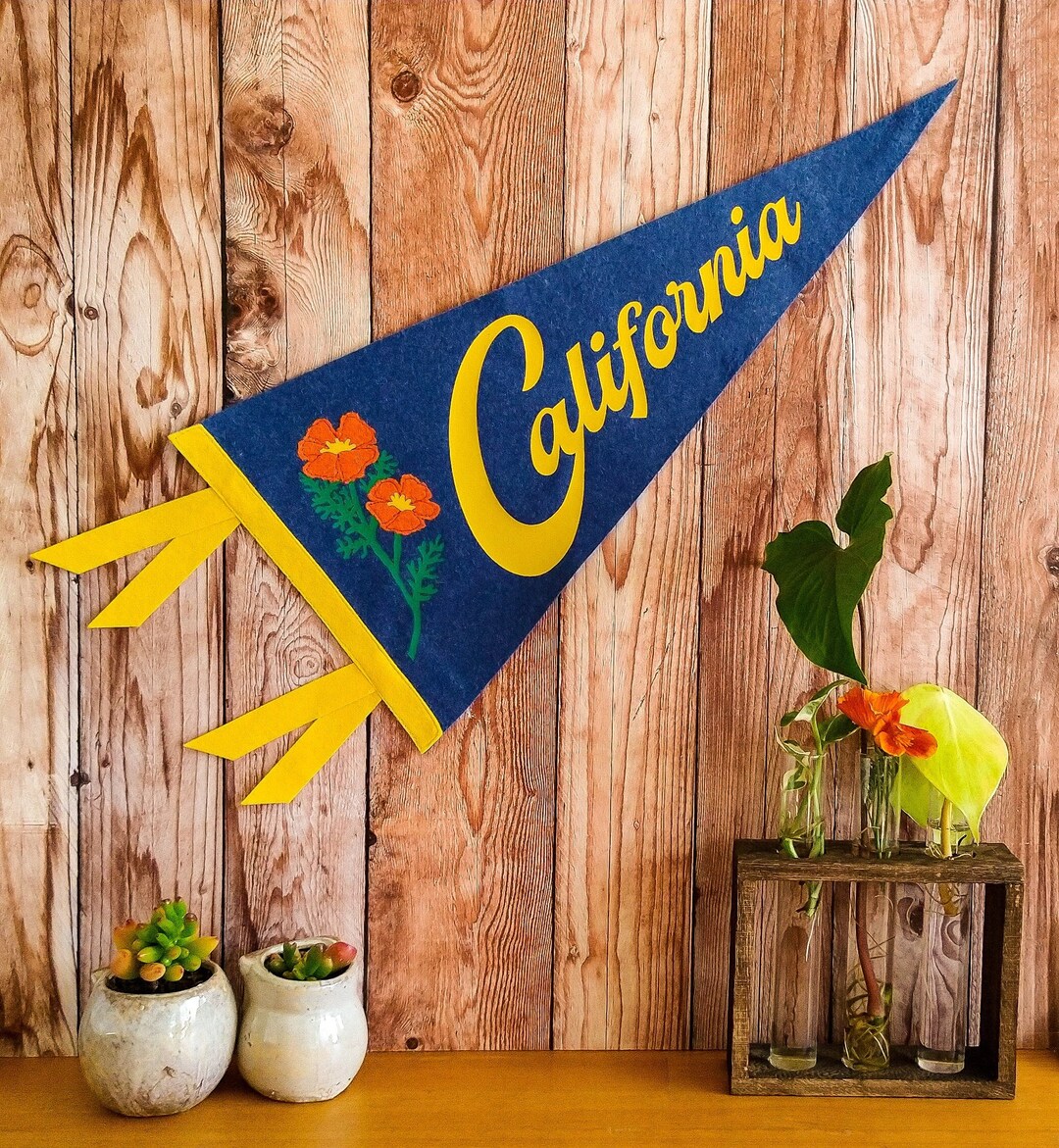 California State Flower Pennant california Poppy - Etsy
