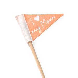 MOTHER'S DAY Gift Tiny Pennants | Mini Flags on a Stick | for Floral ...