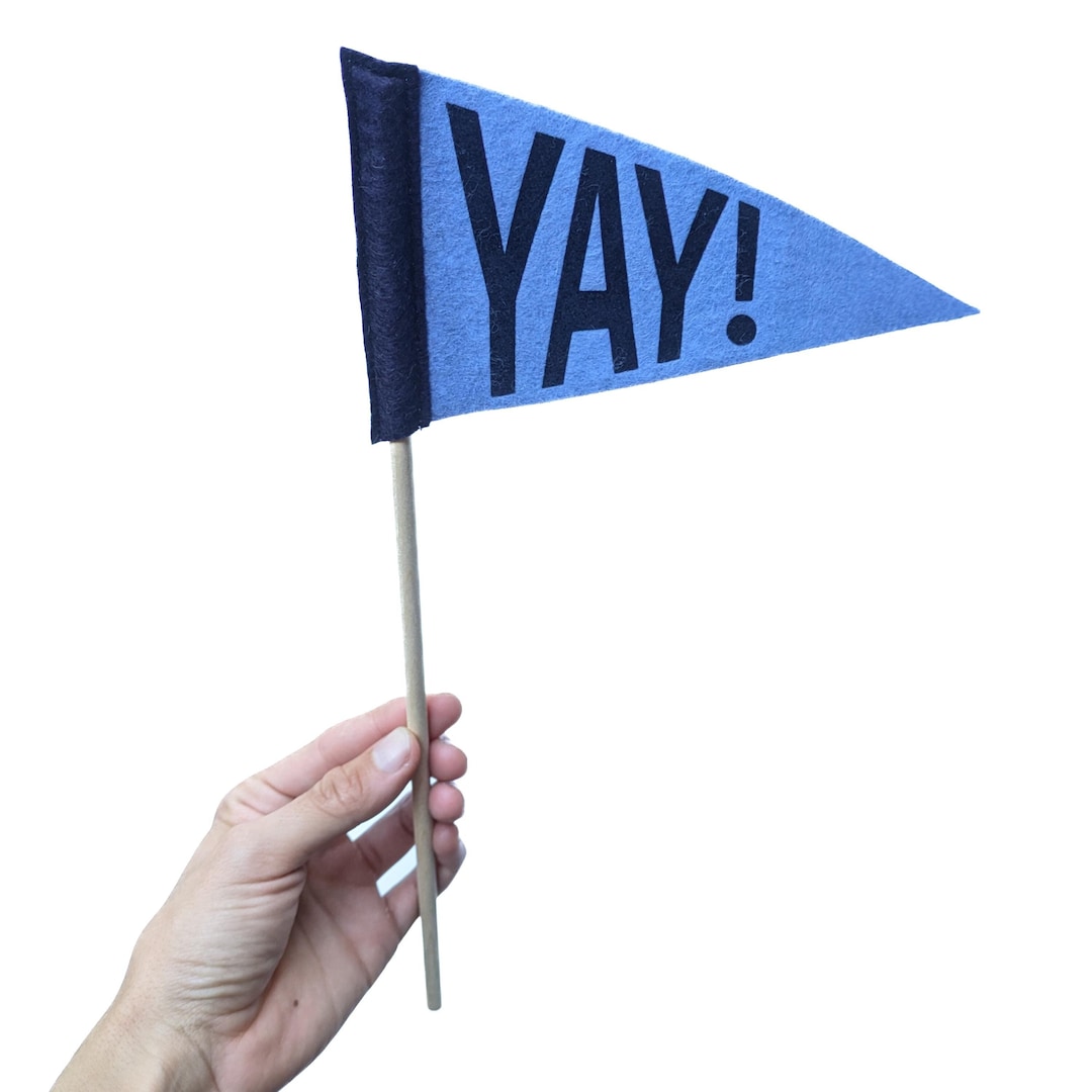 Yay! Mini Pennant, 4x7 Inch Small Flag on Stick - Etsy