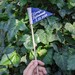 CUSTOM Tiny Pennant | Miniature Personalized Felt Flag on a Stick ...