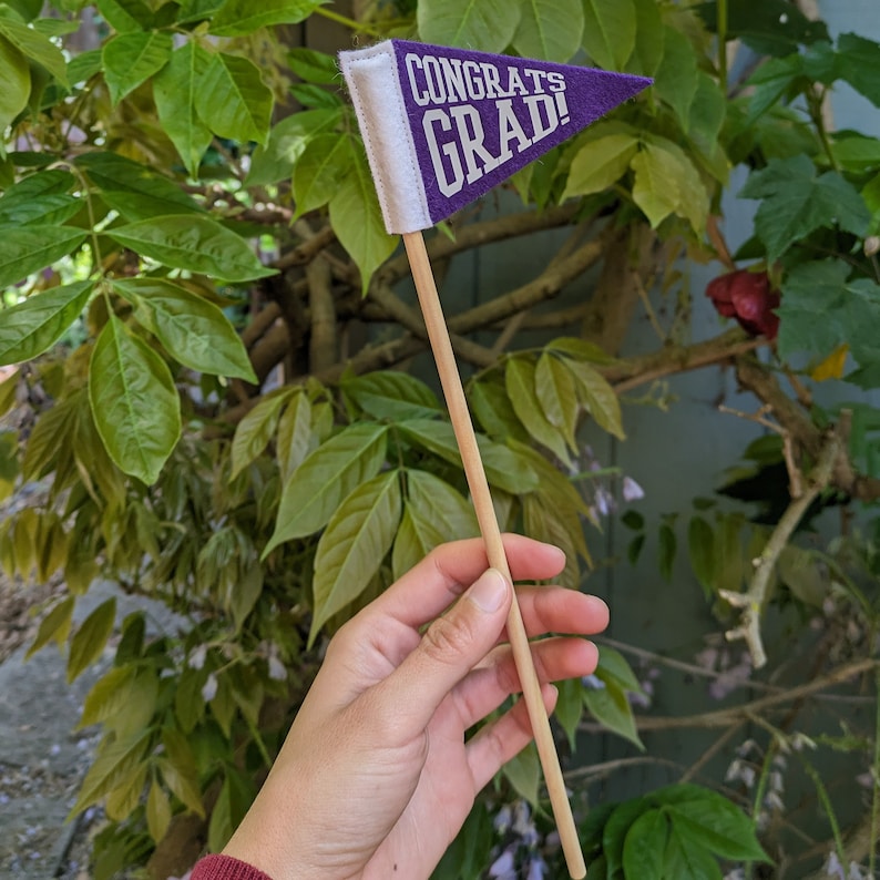 Class of 2026 Graduation Tiny Pennant on Stick, Mini Felt Flag - Etsy