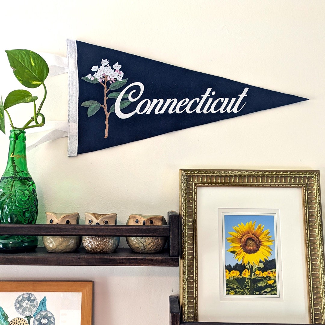 Connecticut State Flower Pennant Flag - "mountain Laurel” - Etsy