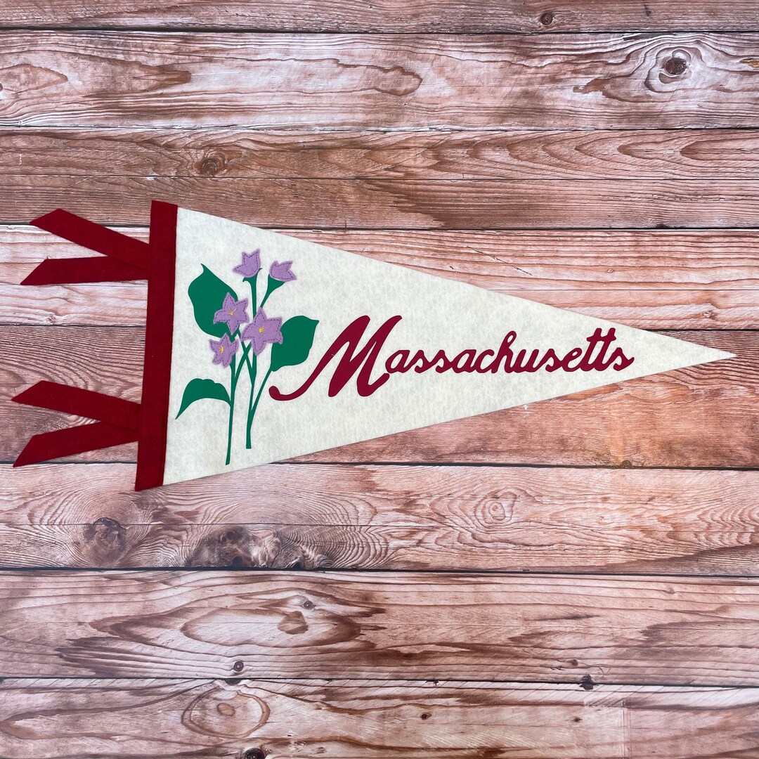 MASSACHUSETTS PENNANT | State Flower Flag | Mayflower Design | State ...