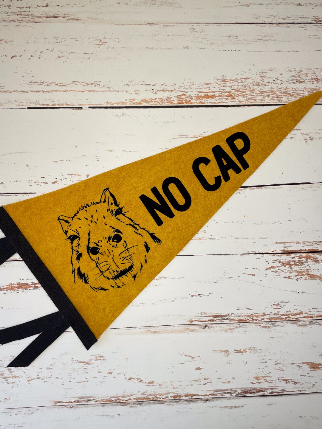 No Cap CAPYBARA Pennant Flag | 9x18inch Banner - Etsy