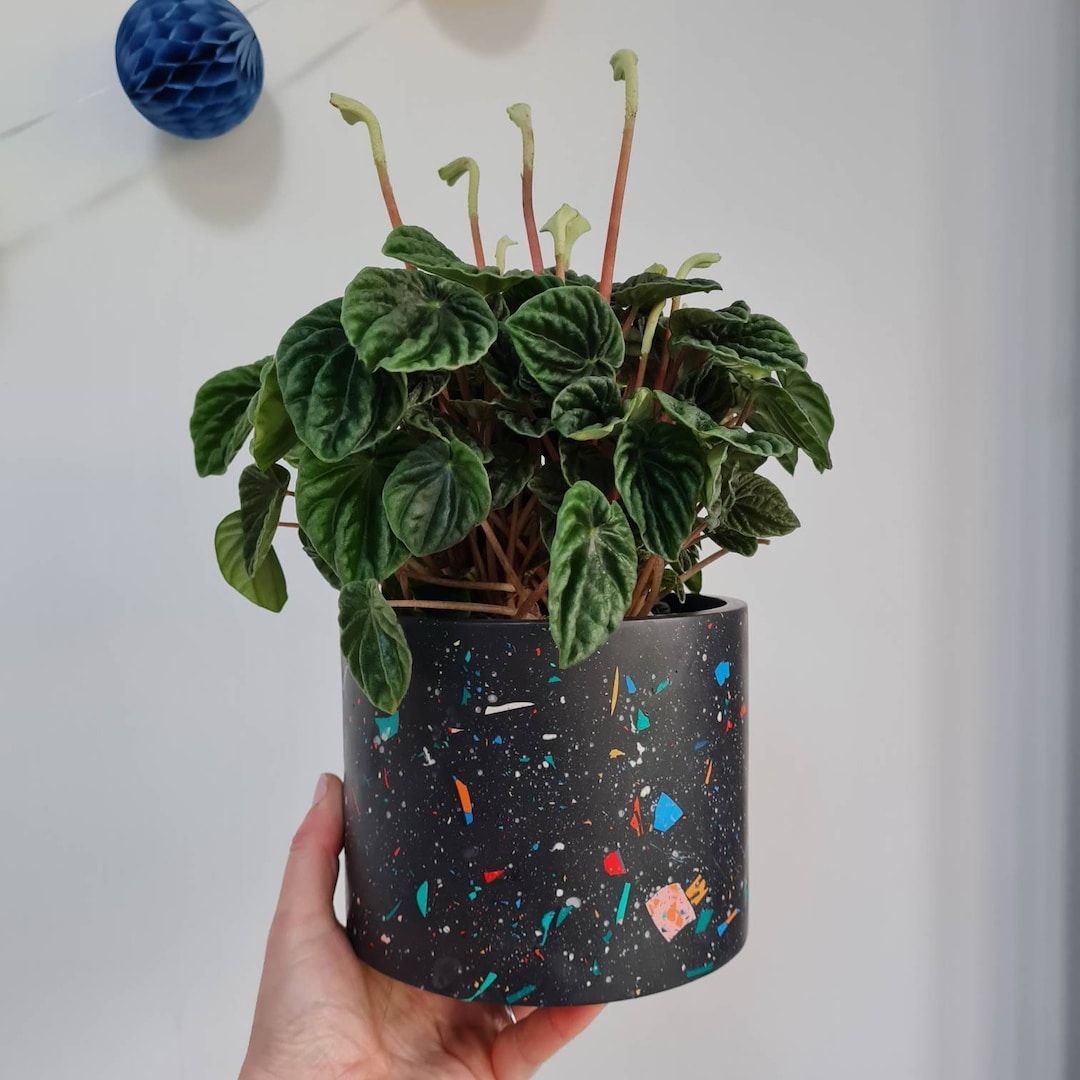 Cosmic Terrazzo Pot - Black Terrazzo, Indoor Plant Pot, Indoor Planter ...