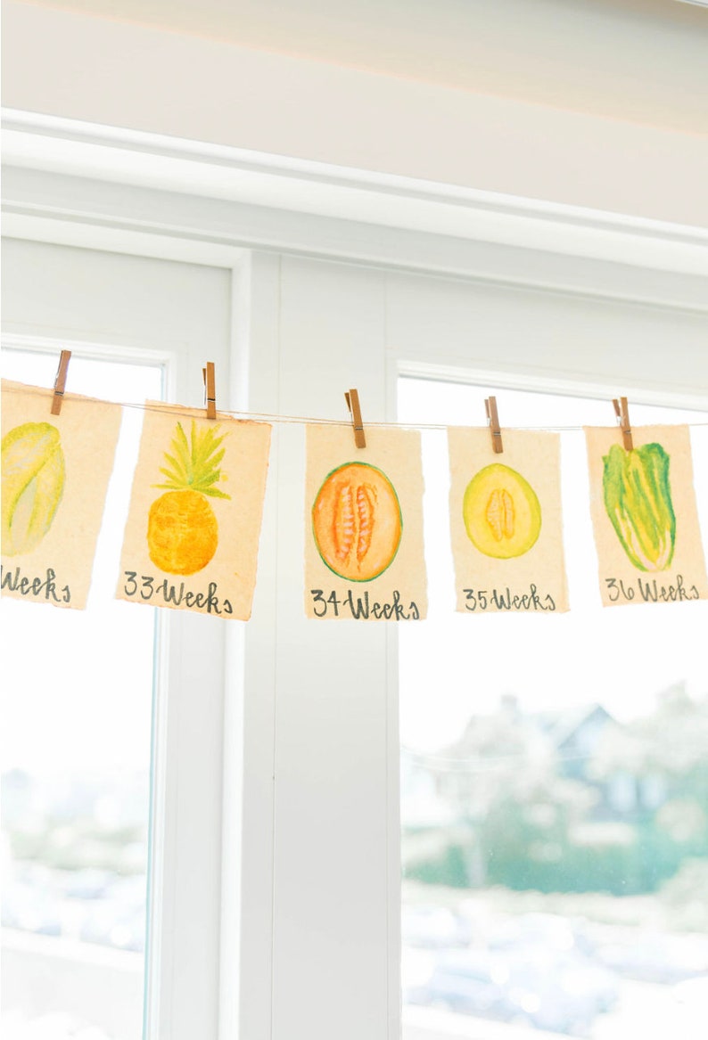 Hand-painted Watercolor Vegetable/fruit Garland, Locally Grown ...