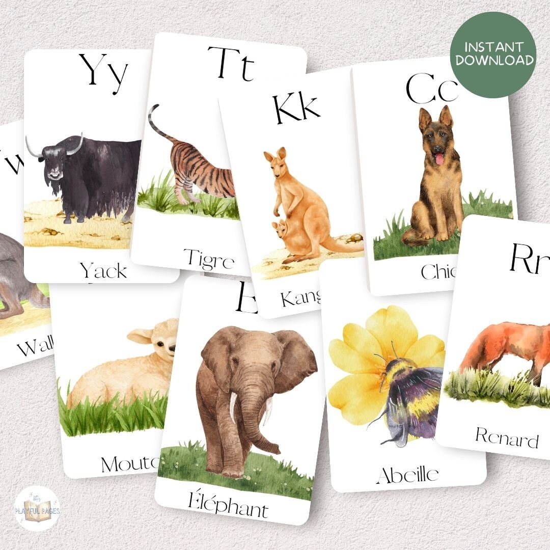 FRENCH Watercolor Animal Alphabet Flashcards ABC Learning - Etsy