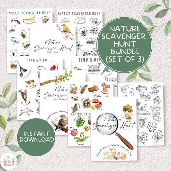 Scavenger Birds - Etsy