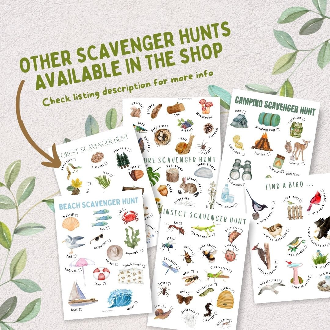 Insect/nature Scavenger Hunt Printable, Spring, Bugs Outdoor Scavenger ...