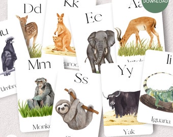 Animal Alphabet Flashcards, Printable Letter Flash Cards, Homeschool ...