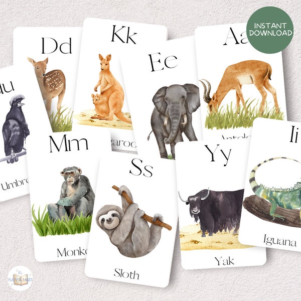Alphabet Flashcards - Etsy