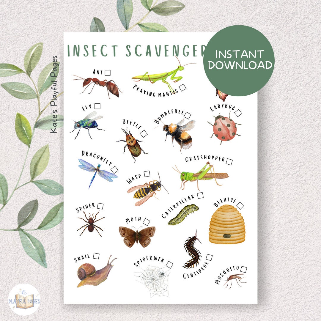 Insect/nature Scavenger Hunt Printable, Spring, Bugs Outdoor Scavenger ...