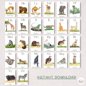 Watercolor Animal Alphabet Flashcards | ABC Learning | Kids Preschool ...