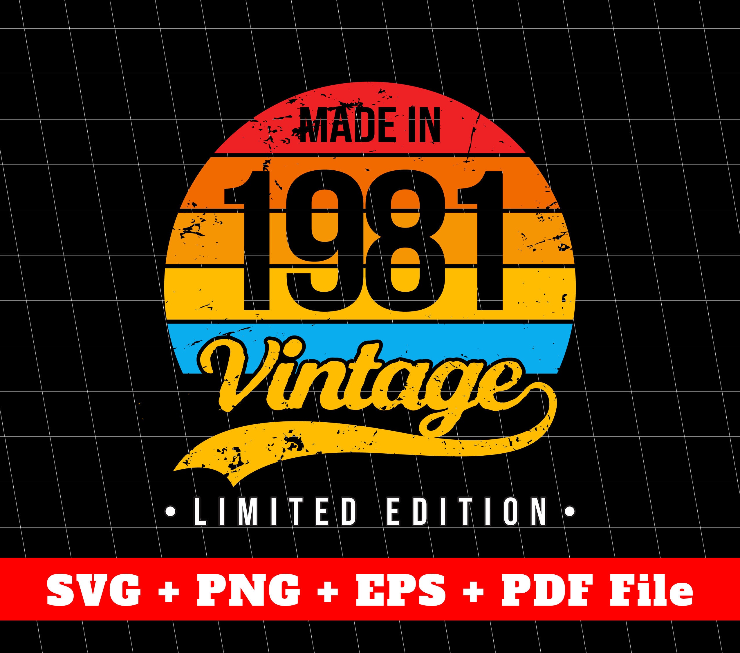 Best of 1981, Retro 1981, Vintage 1981 Gift, Born in 1981, Made in 1981 ...