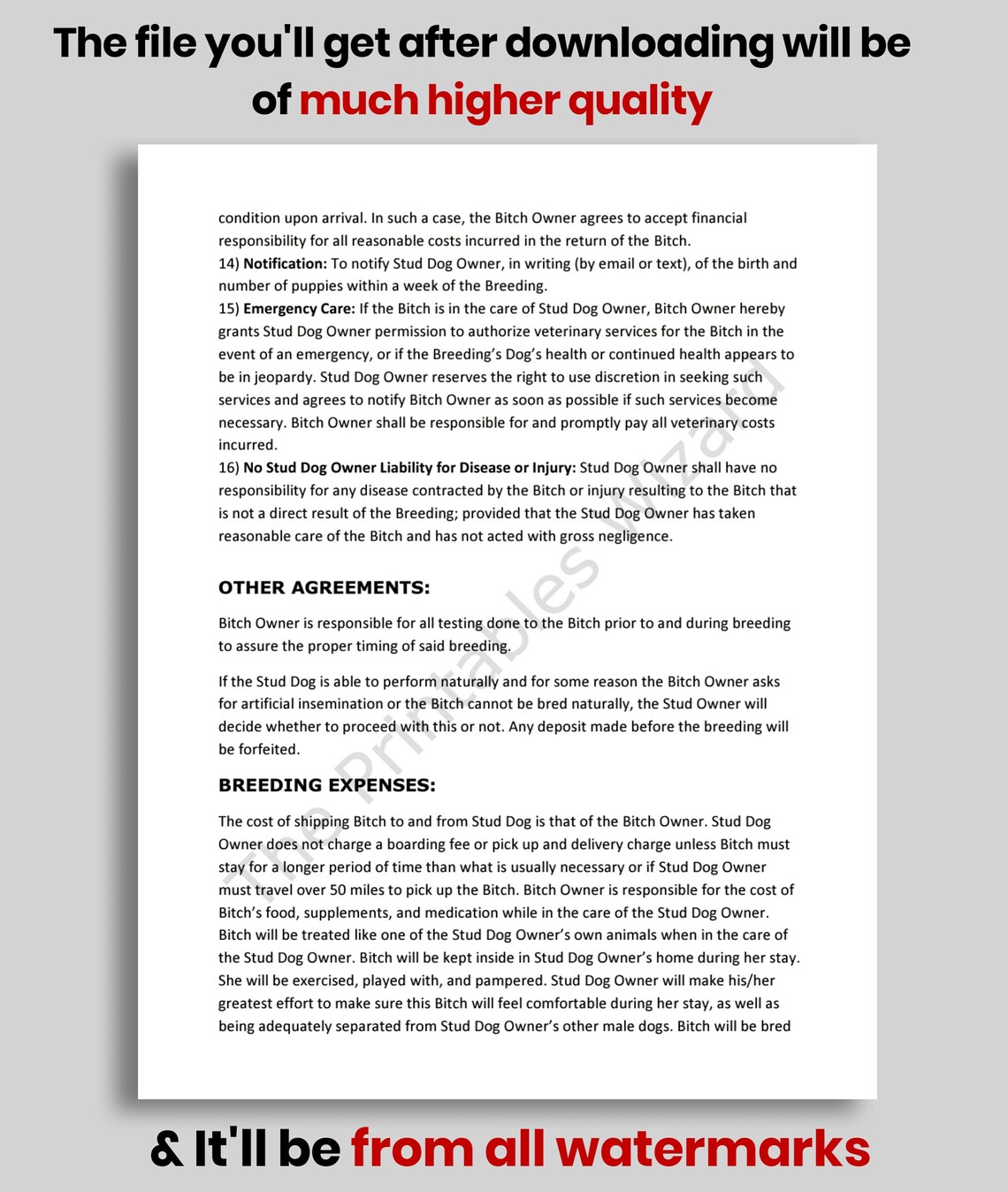 Stud Dog Contract Template Etsy Stud Dog Contract Template Etsy