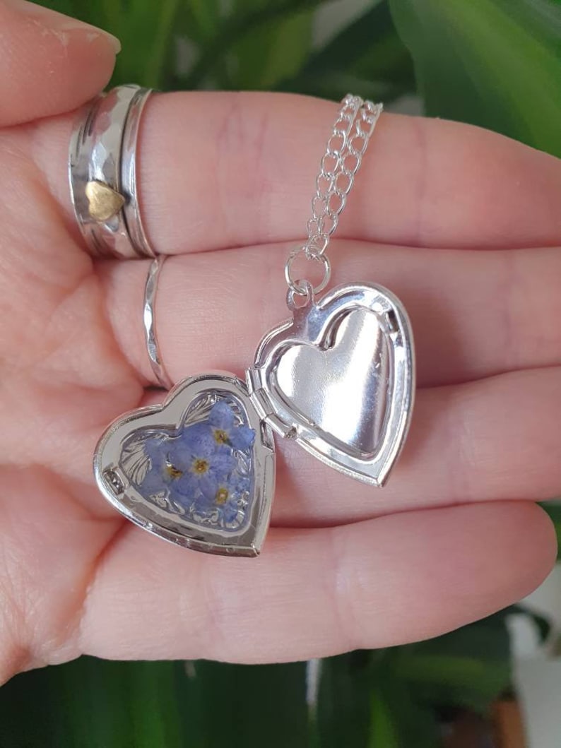 Forget Me Not Locket. Tiny Locket With Forget Me Not Real Flowers ...