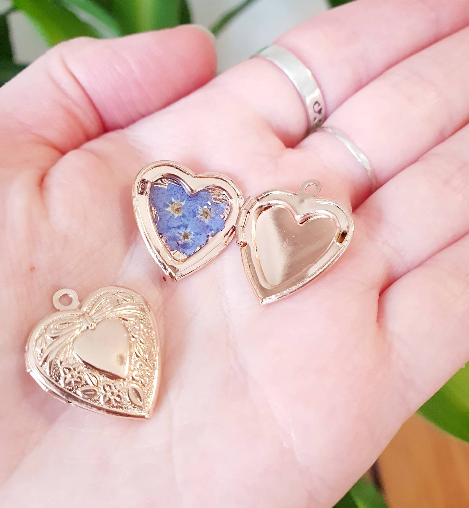 Forget Me Not Locket. Tiny Locket With Forget Me Not Real Flowers ...