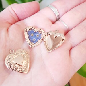 Forget Me Not Locket. Tiny Locket With Forget Me Not Real Flowers ...