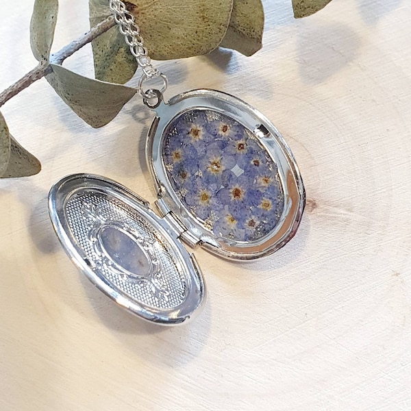 Forget Me Nots - Etsy