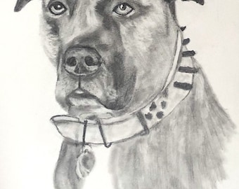Custom Dog Portrait, Dog Pencil Portrait, Dog Loss Gift, Friend Dog ...