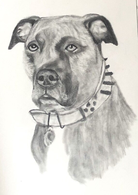 Custom Dog Portrait Dog Pencil Drawing Pet Loss Drawing | Etsy