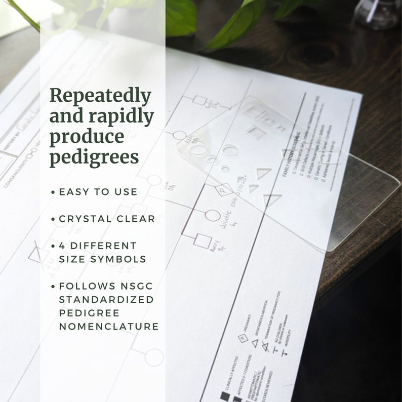 Pedigree Stencil | Clear Acrylic Genetic Family History Template ...