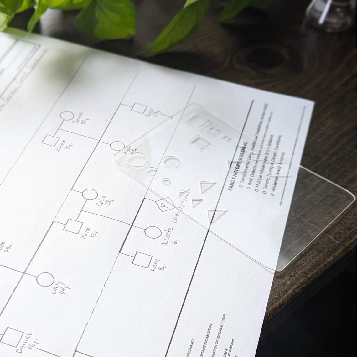 Pedigree Stencil | Clear Acrylic Genetic Family History Template ...