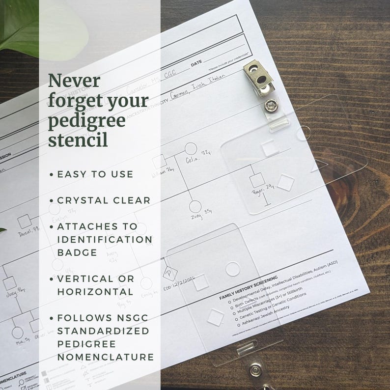 Pedigree Stencil Badge Size| Clear Acrylic Genetic Family History ...