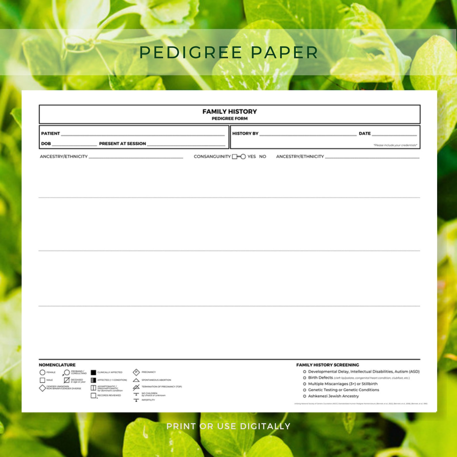 Pedigree Stencil | Clear Acrylic Genetic Family History Template ...