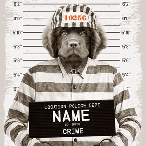 Mugshot Pet Portraits Using Pet Photo, Dog Lover, Digital Download ...