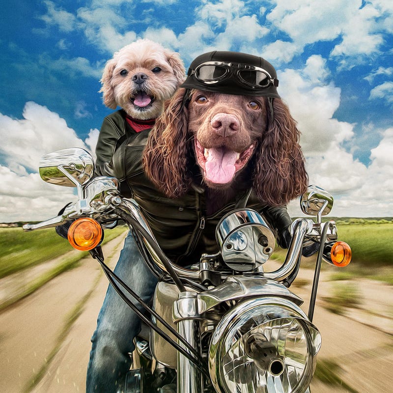 Dog Biker Custom Photo - Etsy