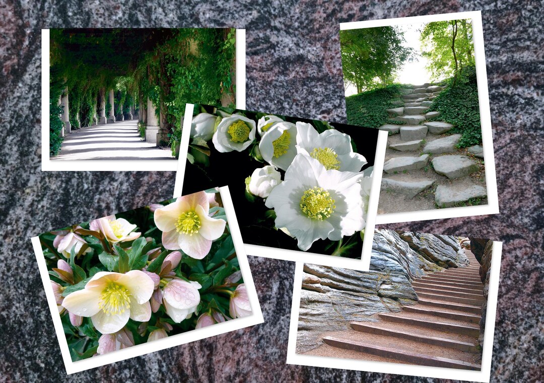 FOLDING CARD SET D – Sympathy Cards – 5 Folding Cards With Envelopes ...