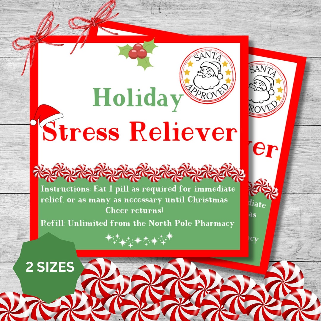 Fun Christmas Gag Gift, Secret Santa Gift, Holiday Stress Reliever Gift ...