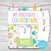 Birthday Countdown Calendar, Kids Birthday Countdown Sign, Printable ...