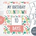 Birthday Countdown Calendar Printable DIY Kids Countdown - Etsy