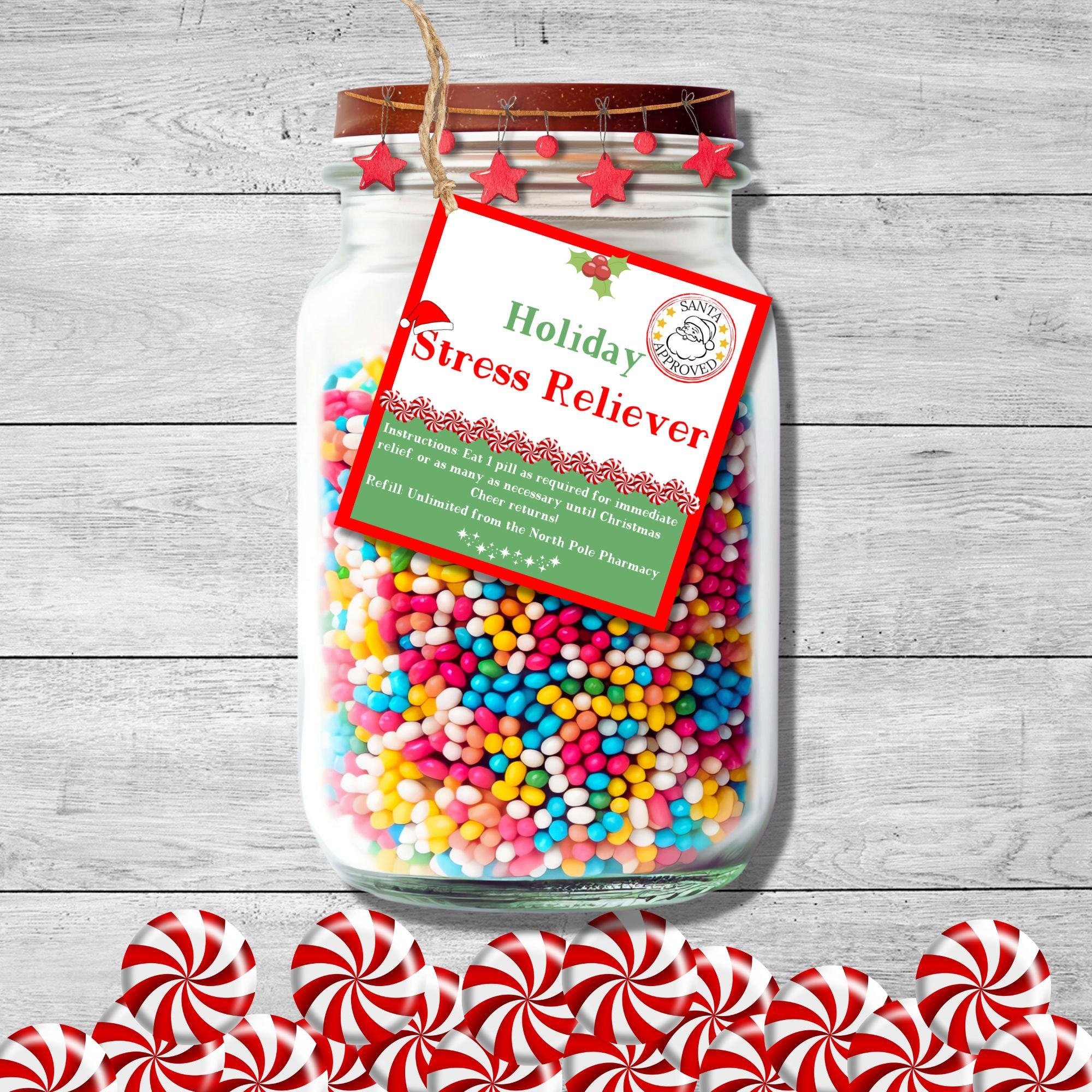 Fun Christmas Gag Gift, Secret Santa Gift, Holiday Stress Reliever Gift ...