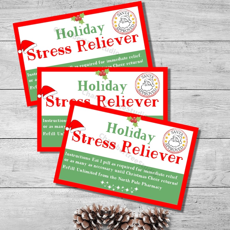 Fun Christmas Gag Gift, Secret Santa Gift Idea, Holiday Stress Reliever ...